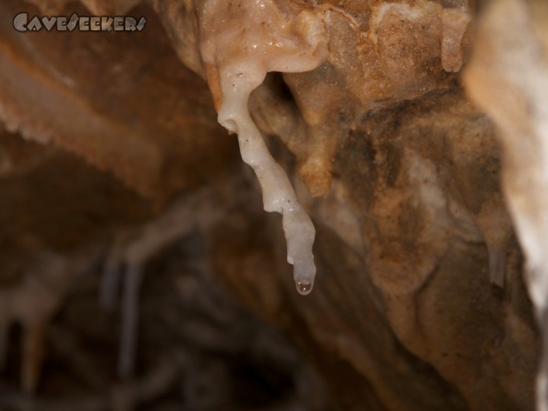 Medvedja Jama | Missionsbeschreibung